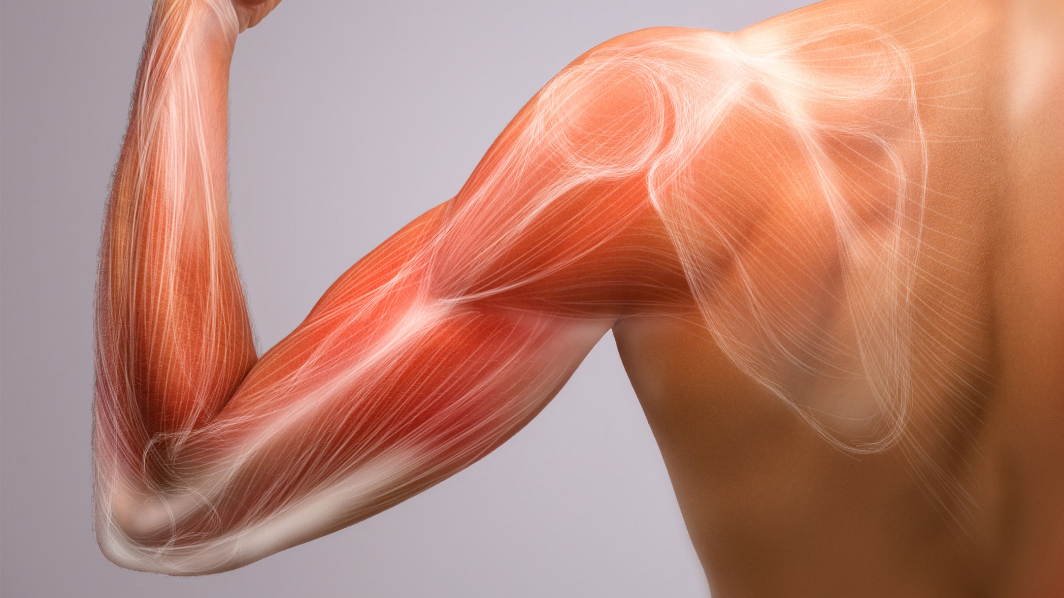 Sanding-related hazards - Mirka