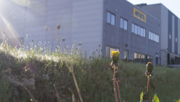 Mirka (UK) Ltd - Mirka