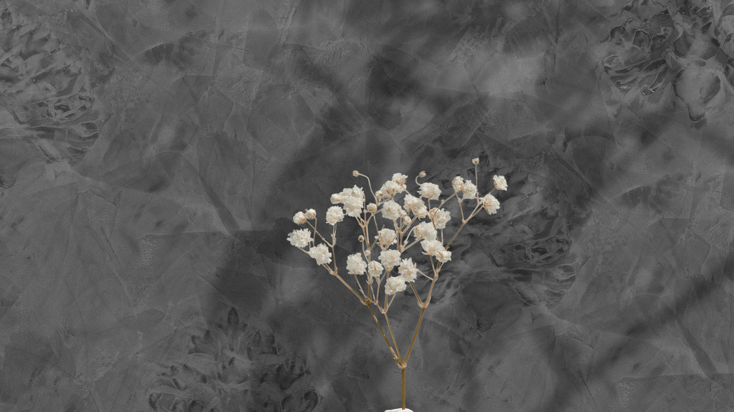 Venetian plaster with Mirka - Mirka